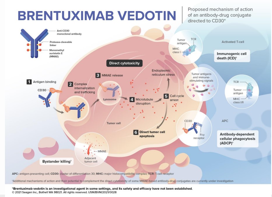 Brentuximab vedotin | Pfizer Oncology Development Website